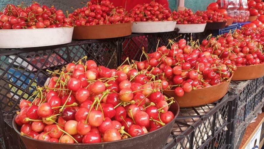 Літо без мелітопольських черешень: як їх в цьому році замінять на ринку ...